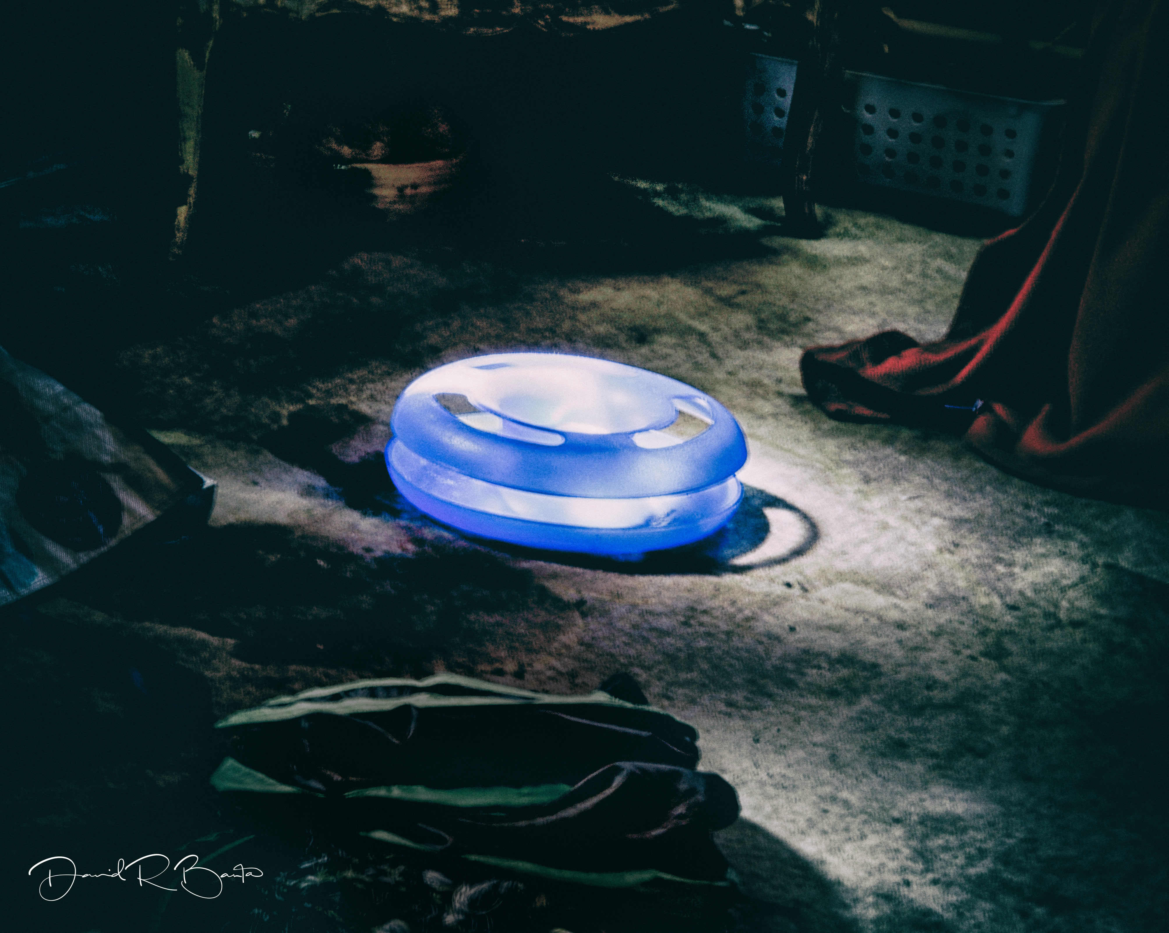 CAT-TOYweb – davidrbanta.org