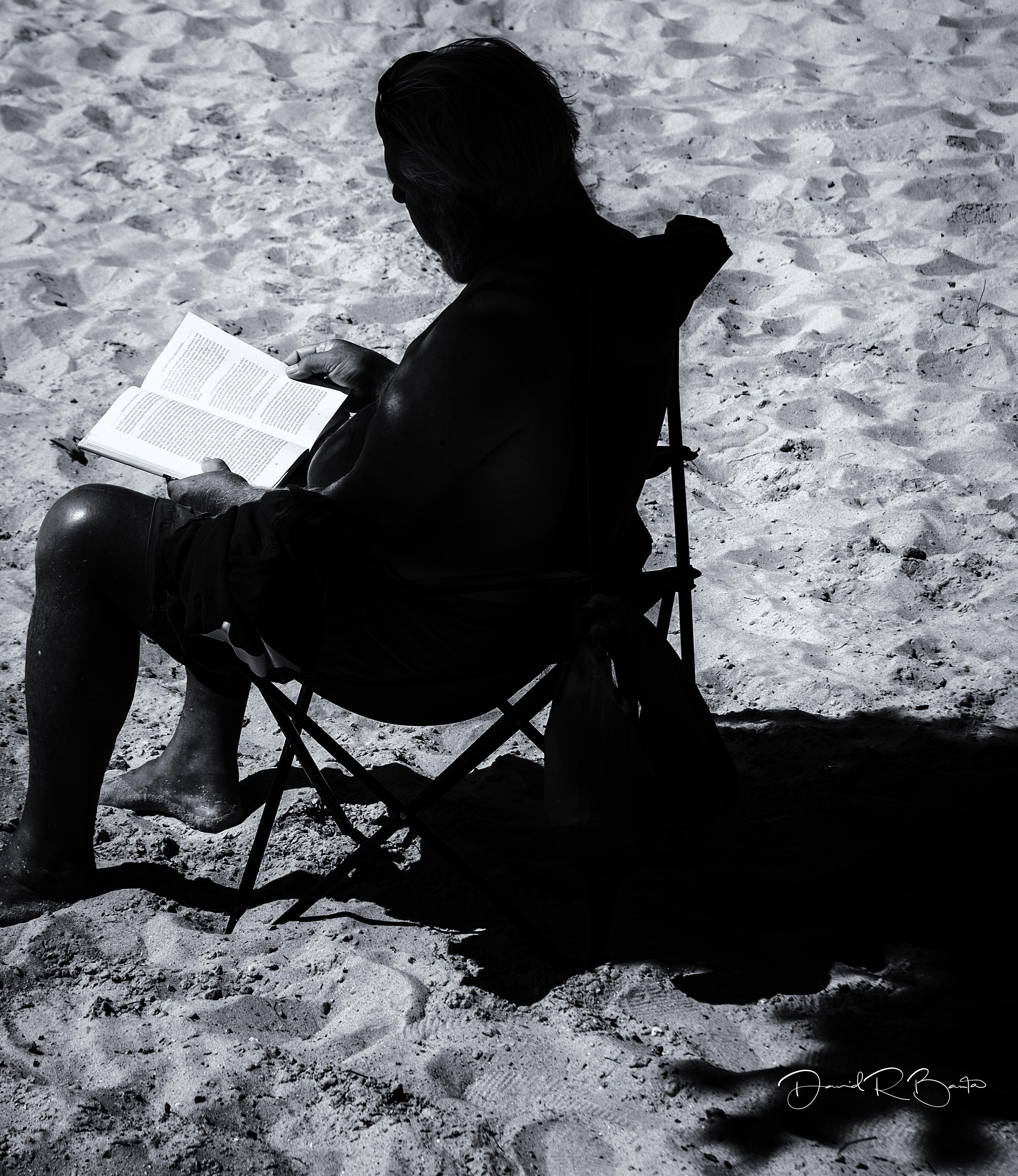 THE-BOOKweb – davidrbanta.org