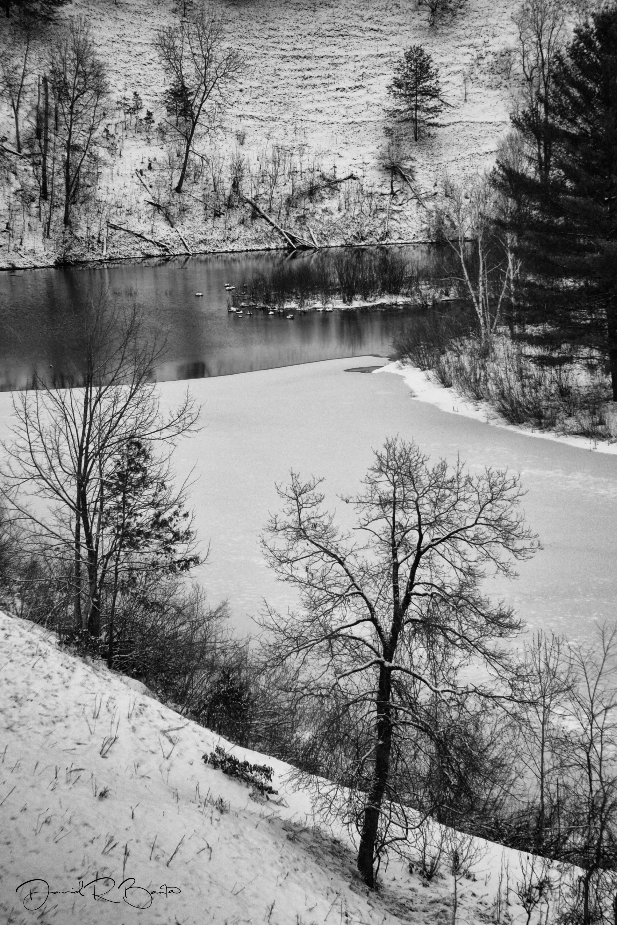 THE-MIGHTY-PINE-RIVERweb – davidrbanta.org