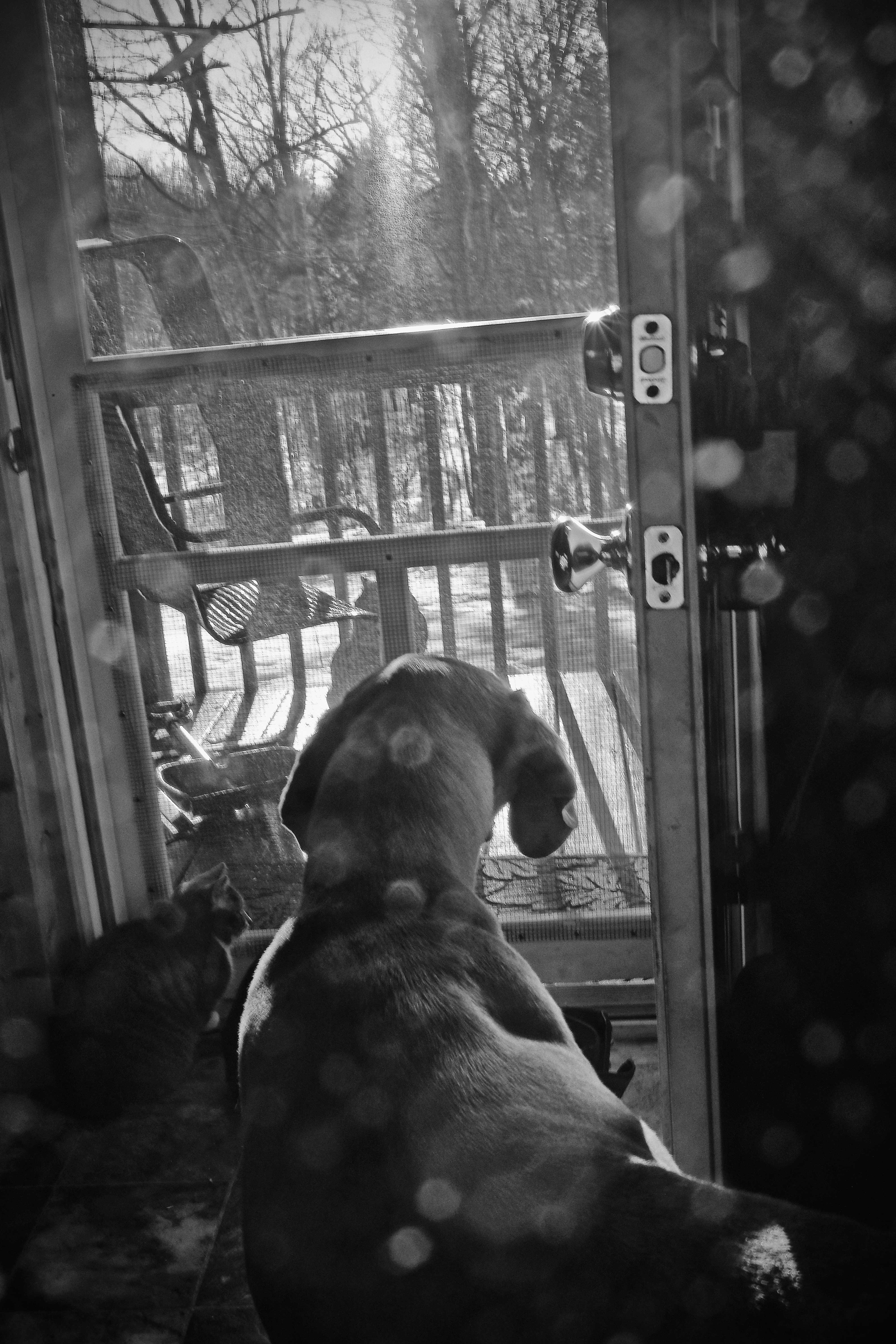 last-day-of-winterweb – davidrbanta.org